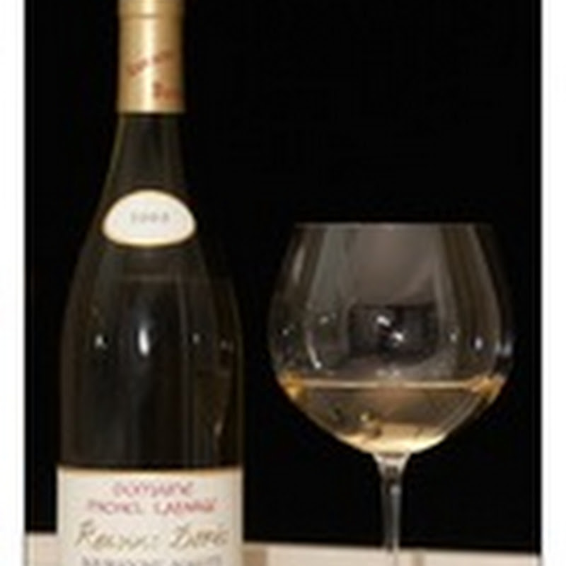 Aligoté od burgundské špičky | Jižní svah - nejen o víně